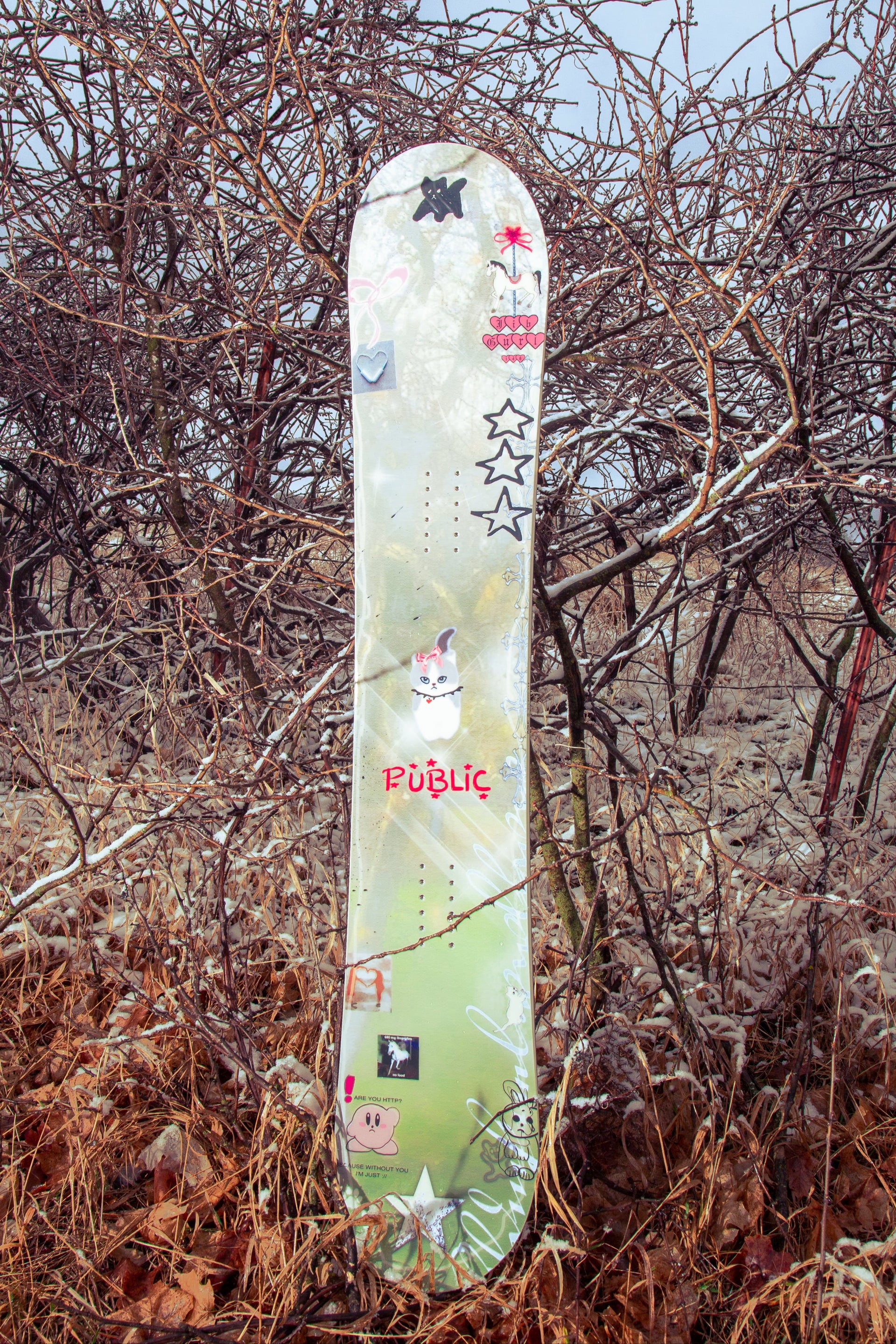 Snowboards – PUBLIC snowboards